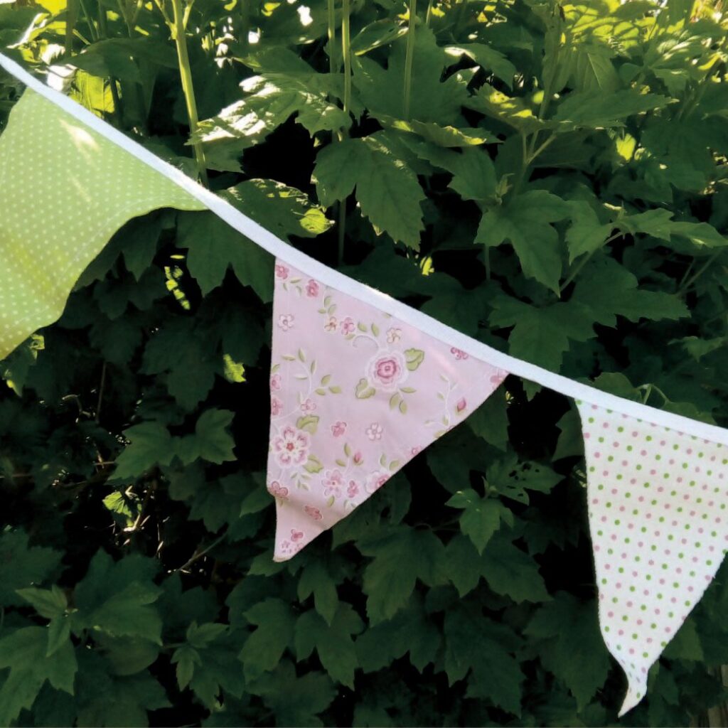 Bunting - Villa Farm